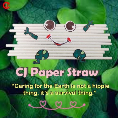 Can Jaya online store paper straws and paper packaging