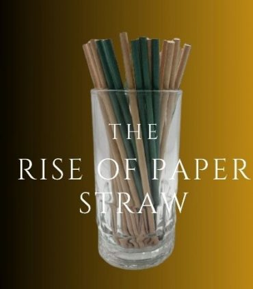 Paper Canister Packaging and Paper Straws Experts